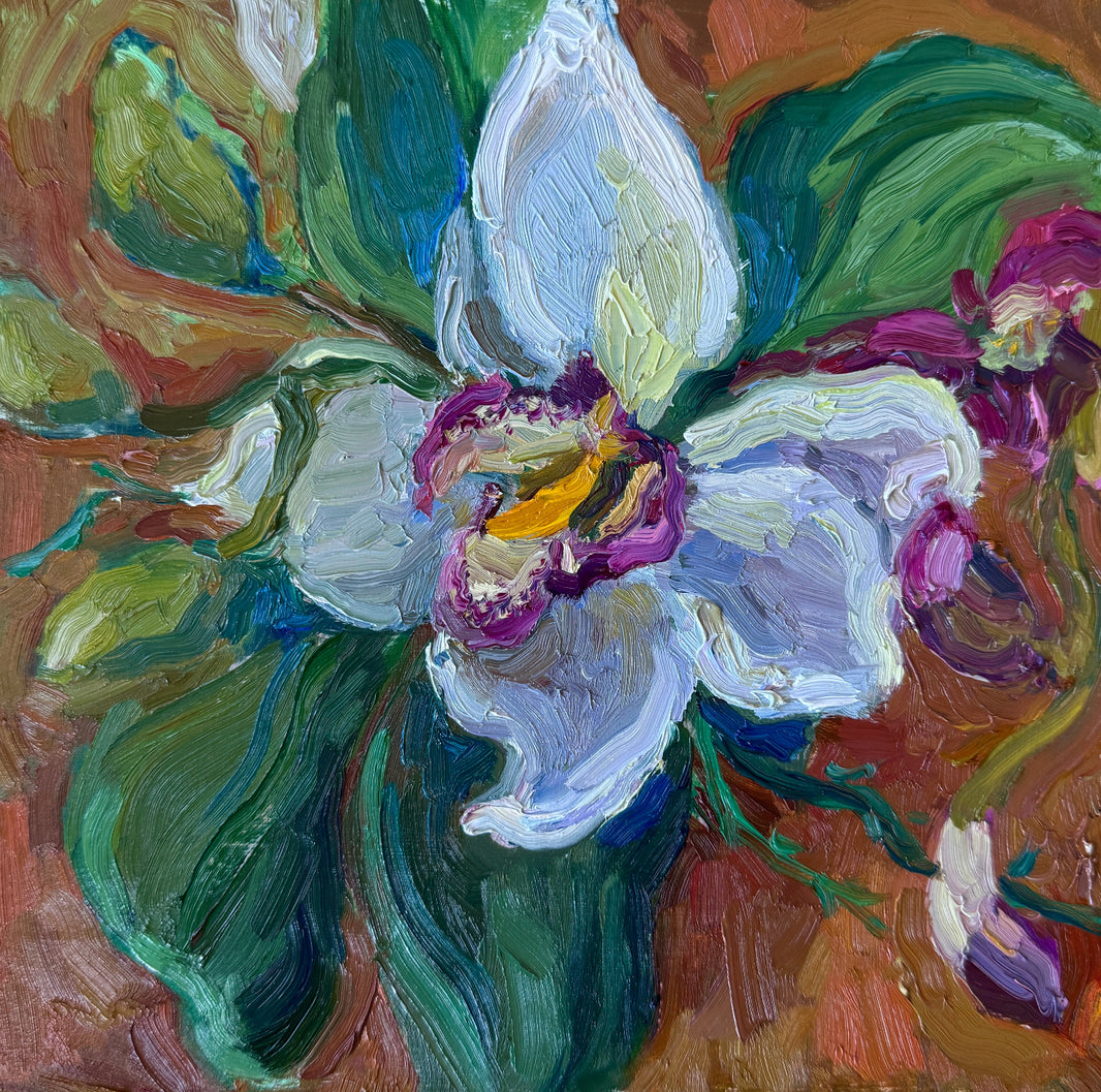 Florals/Still Lifes – Sara Rae Fine Art